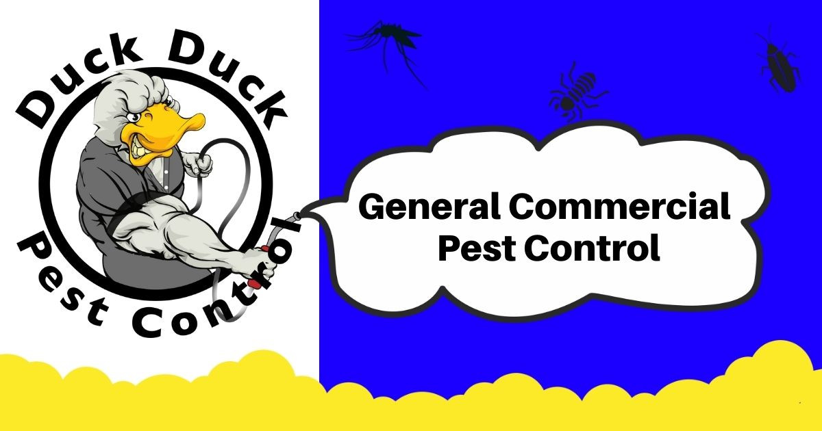 Commercial Pest Control | Duck Duck Pest Control | Servicing Miami ...
