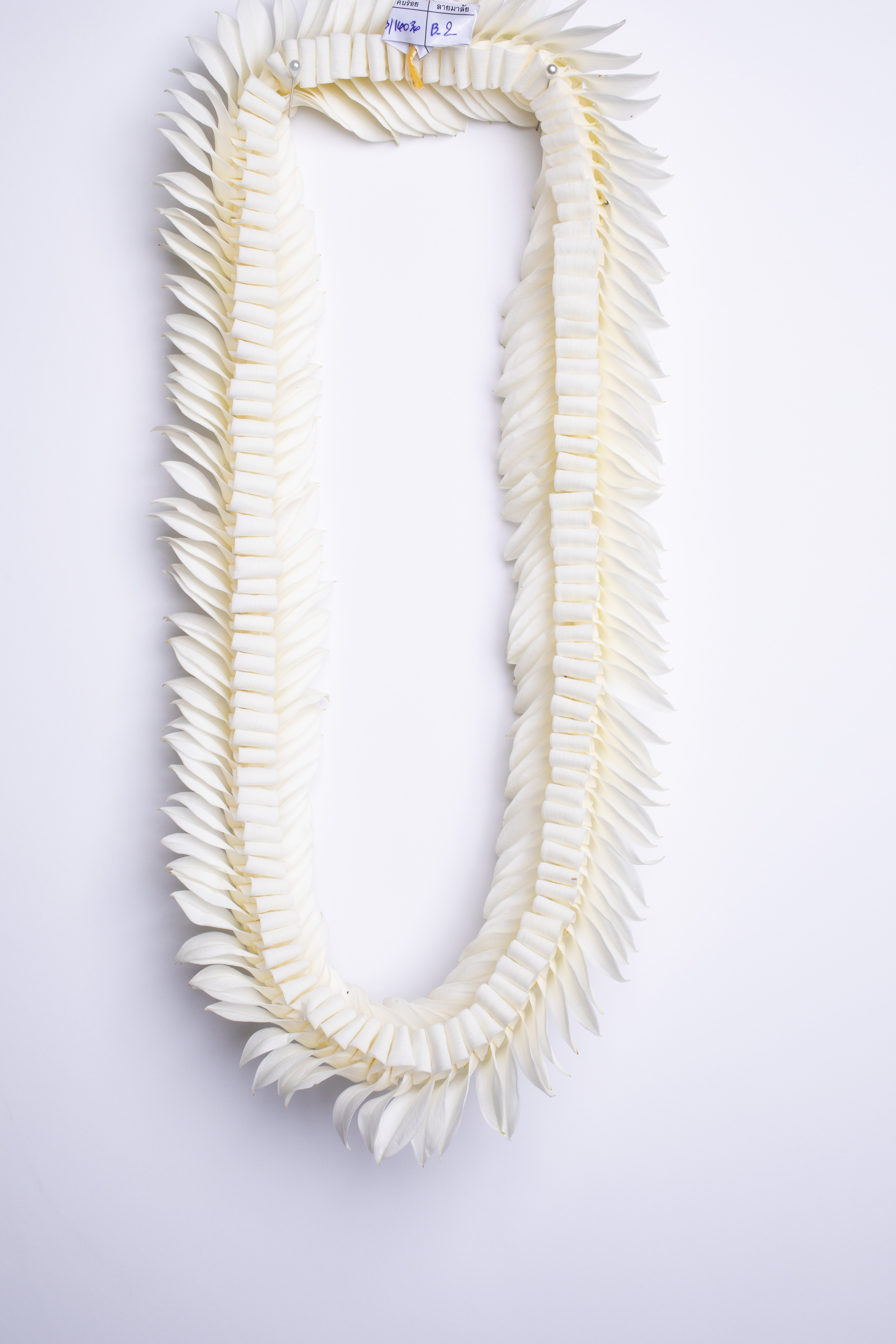 The Orchid Lei Company