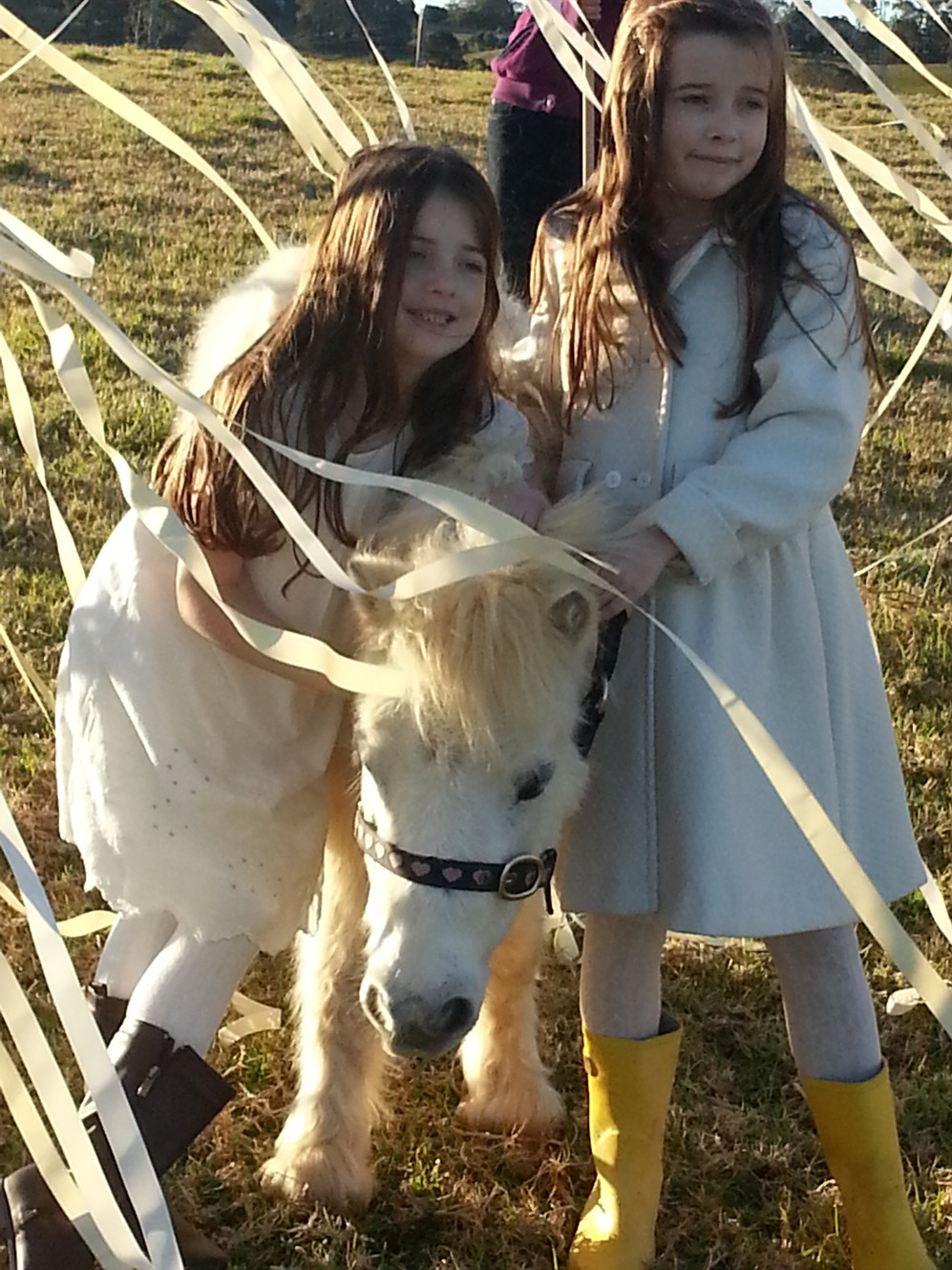 Sunshine Coast Party Ponies