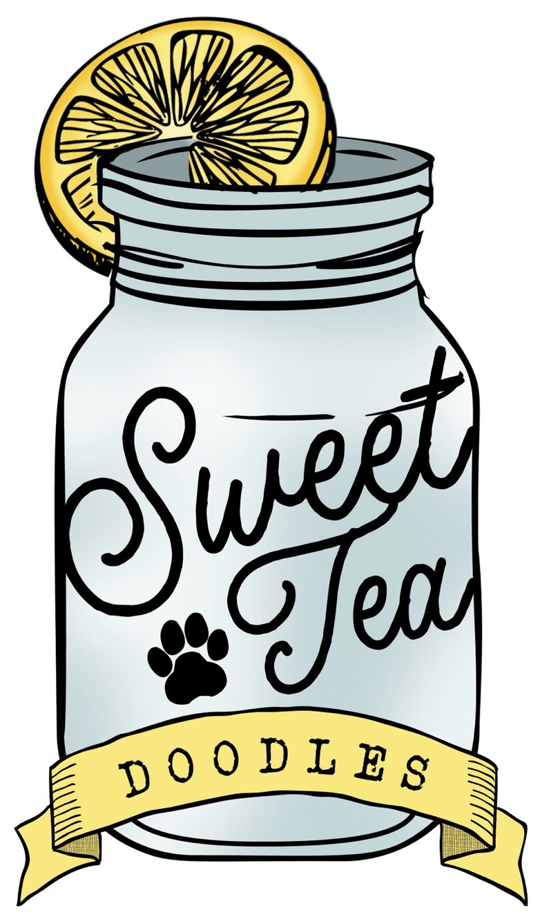 Sweet Tea Australian | Virginia Beach | In home breeder