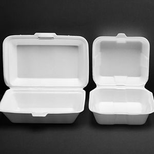 ENVASES DESCARTABLES | WWW.FELYCAR.PE