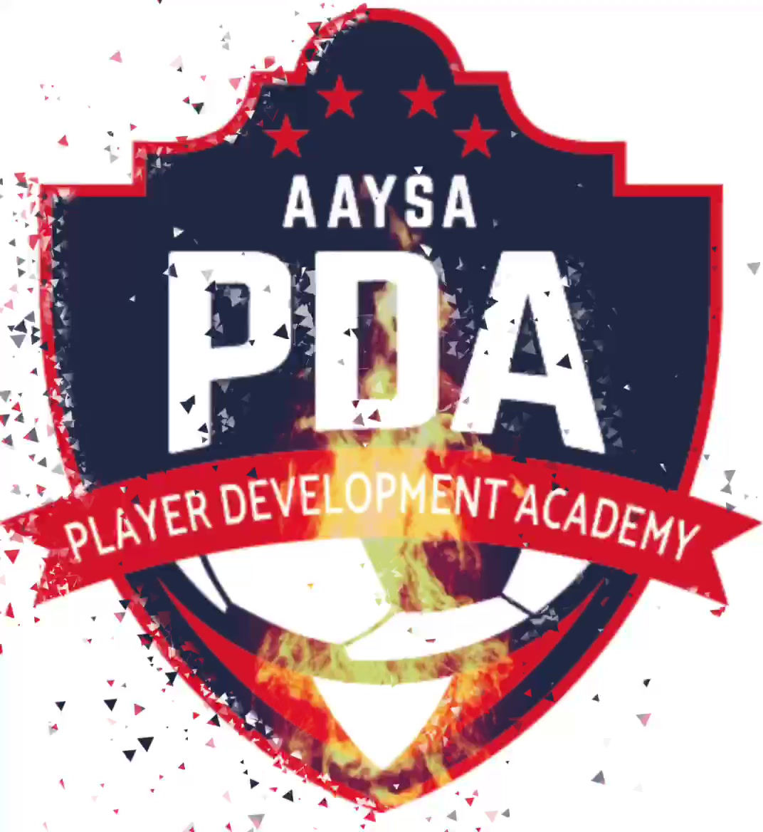 Academy - PDA | AAYSA