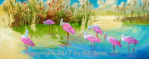 Seven Spoonbills | paintedfishgallery