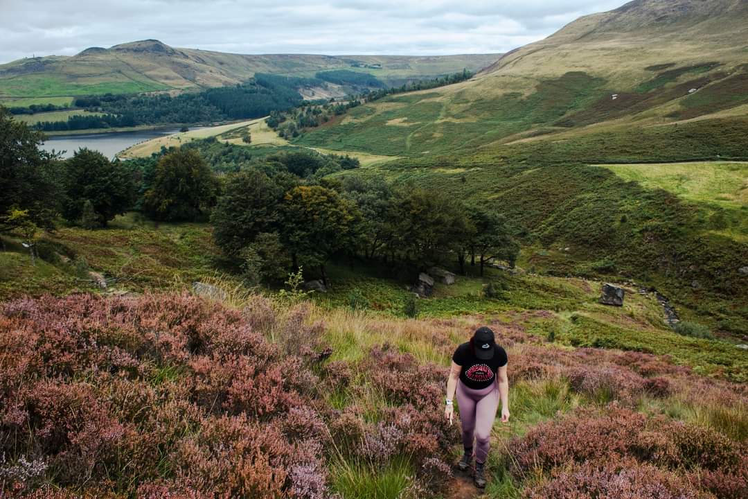 Alphin Pike