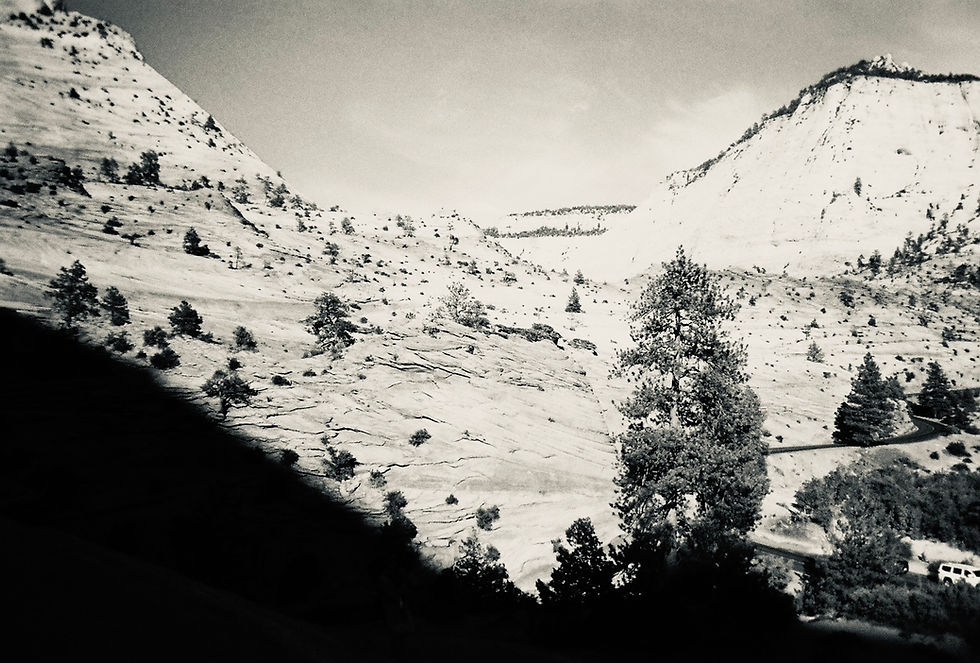 ZION Official Website