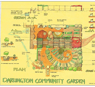 Design | Darlington Community Garden