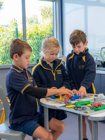 Tapanui Primary School | Home