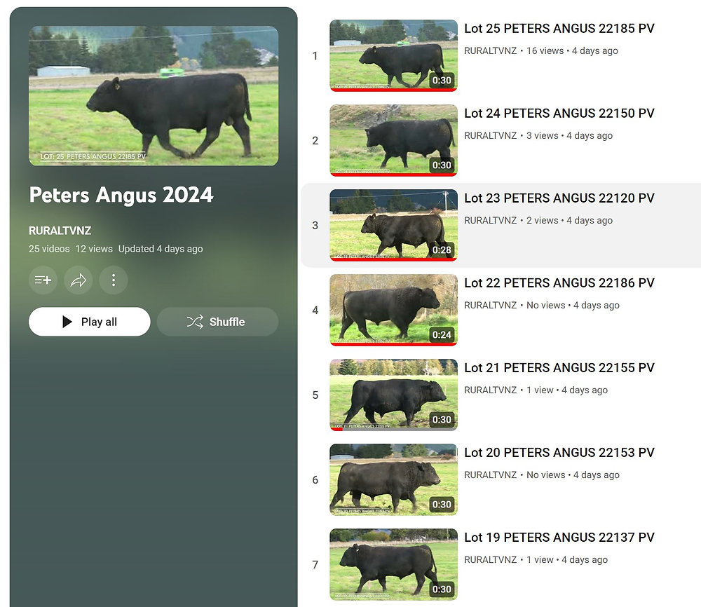 VIDEO - Check out our Angus Bulls ahead of the Sale