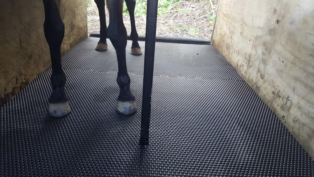 Float lined with Comfy Equine rubber matting