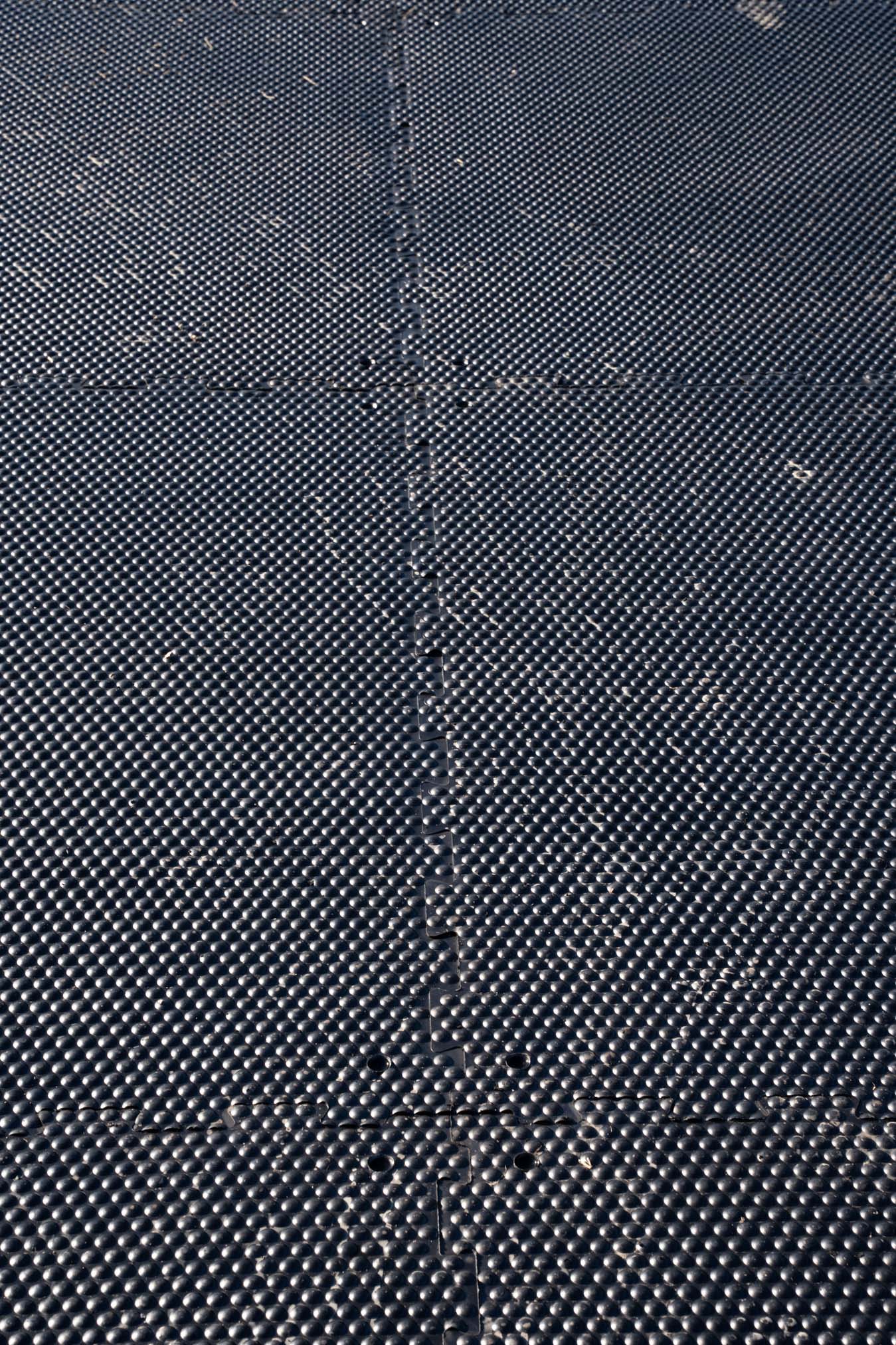 Incredible Cow Feed Pad, Owaka Farm