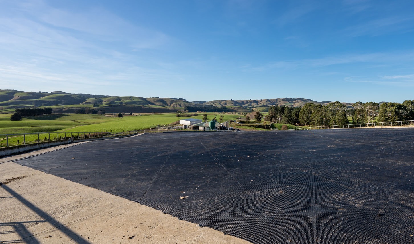 Incredible Cow Feed Pad, Owaka Farm