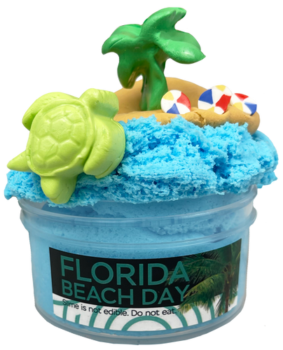 FLORIDA BEACH DAY | Zosa Slimes