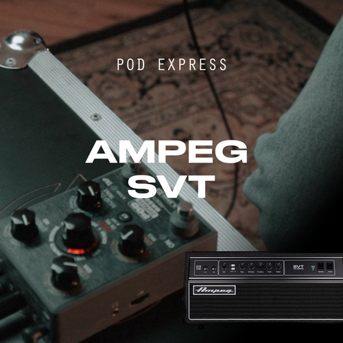AMPEG SVT - POD EXPRESS | Bass Stomp