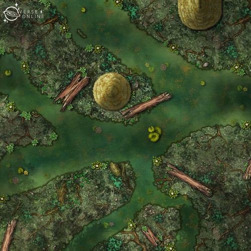 Oloris Swamp Battle Map | Enter the Arcverse