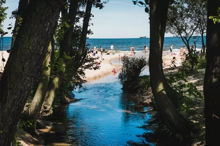 The best beaches in Gdansk to relax - Rabbit-Trans Poland