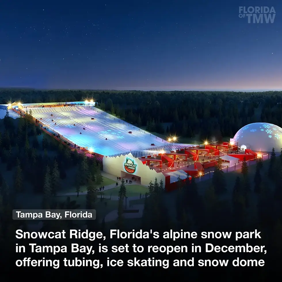 Snowcat Ridge, Florida's alpine snow park in Tampa Bay, is set to ...