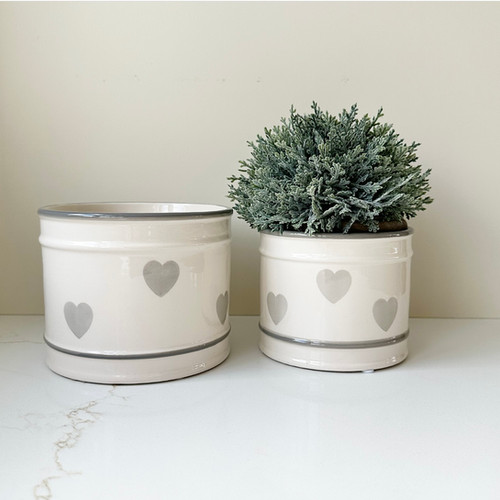 Heart Plant Pot-Large | Champagne & Ginger
