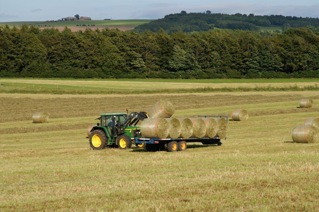 Hay or haylage | EEC Home Farm | Dalkeith, Midlothian, Scotland