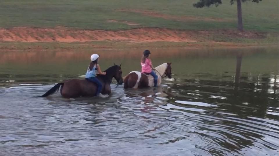 Horse Breeding/Sales/Consulting | Cofer Ranch | United States