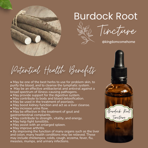 Burdock Root Tincture | Kingdom Come Home