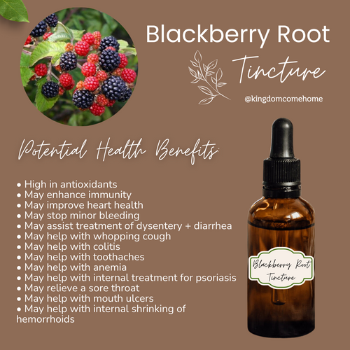 Blackberry Root Tincture | Kingdom Come Home