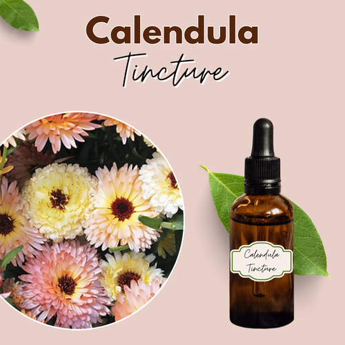 Calendula - Alcohol Tincture | Kingdom Come Home