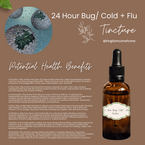 24 Hour Bug/ Cold + Flu Tincture | Kingdom Come Home