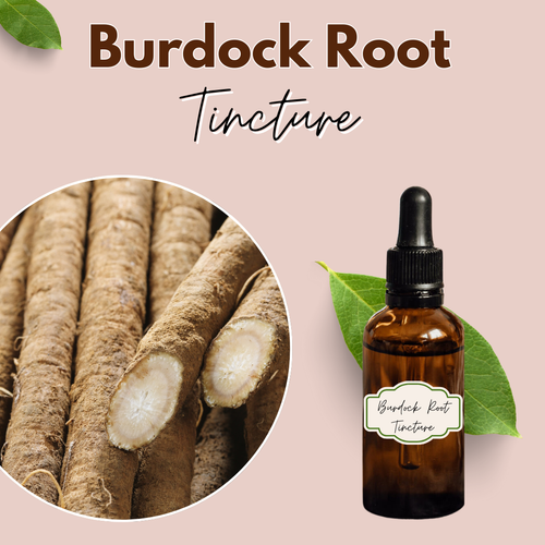 Burdock Root Tincture | Kingdom Come Home