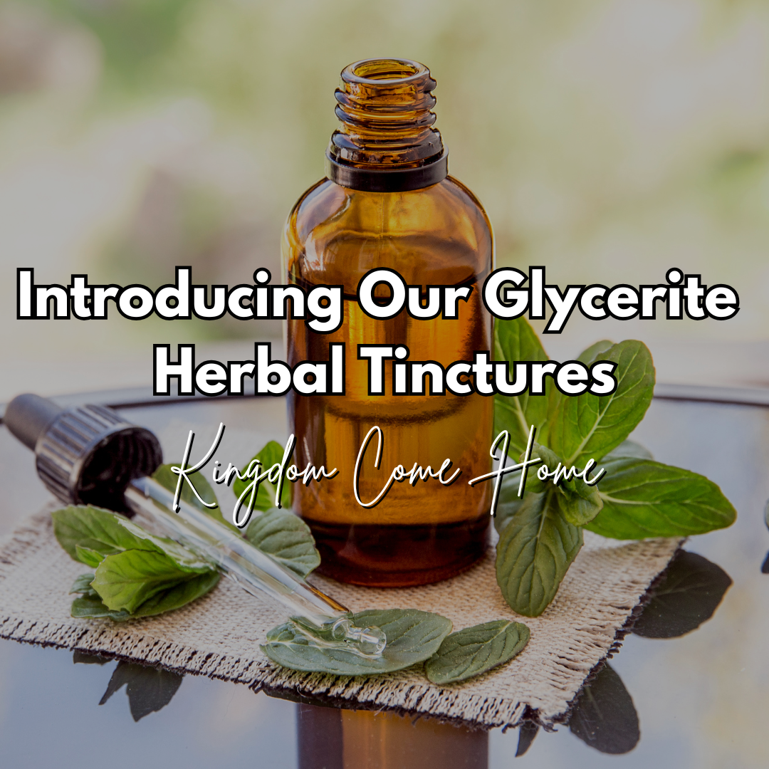 Glycerite Herbal Tinctures | Kingdom Come Home