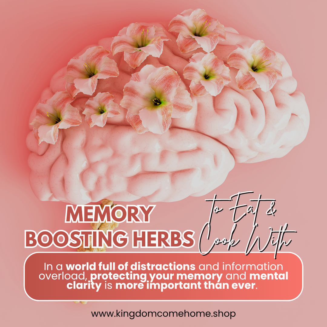 Natural Brain Health Support | Memory-Boosting Herbs & Wellness Tips