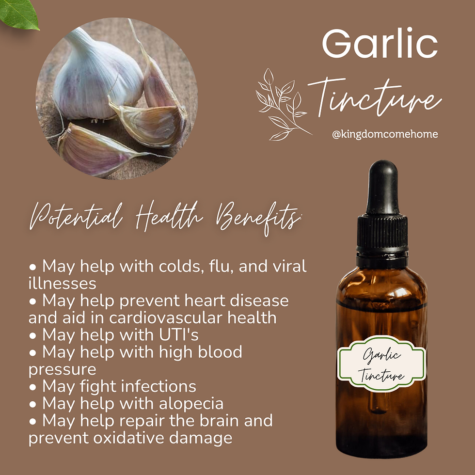 Garlic Tincture | Kingdom Come Home