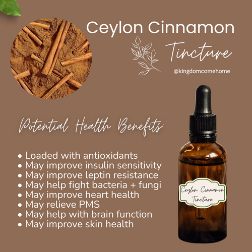 Ceylon Cinnamon Tincture | Kingdom Come Home