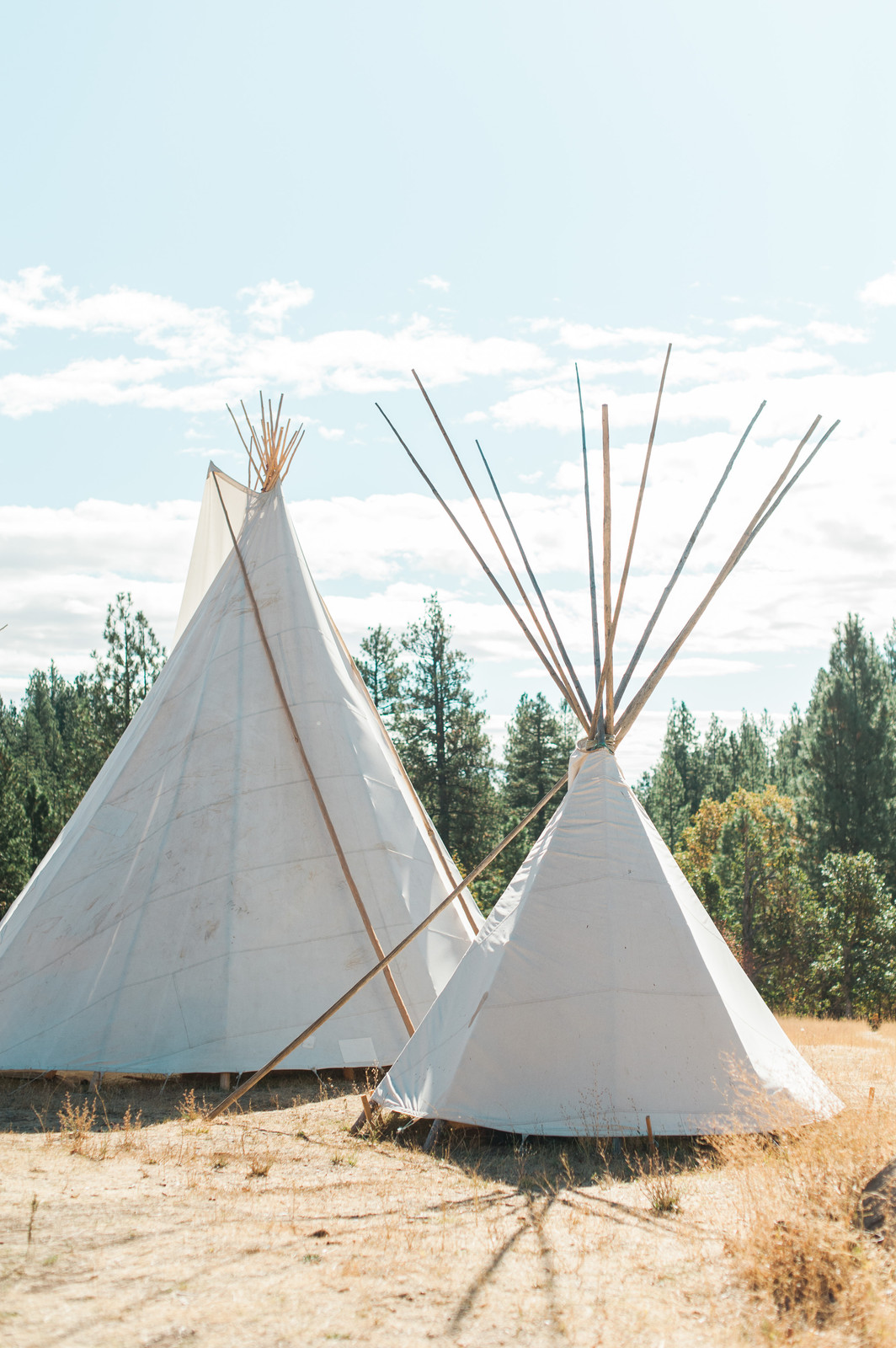 Tipis