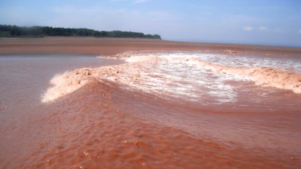 What is a Tidal Bore?