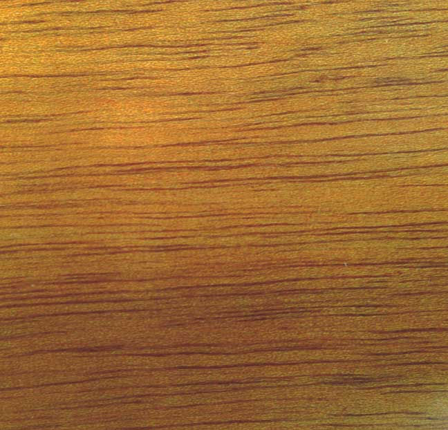 Portamenus de Madera | Portamenus