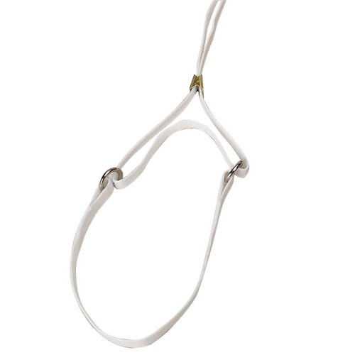 Resco Pet Products - Dog Show Leads