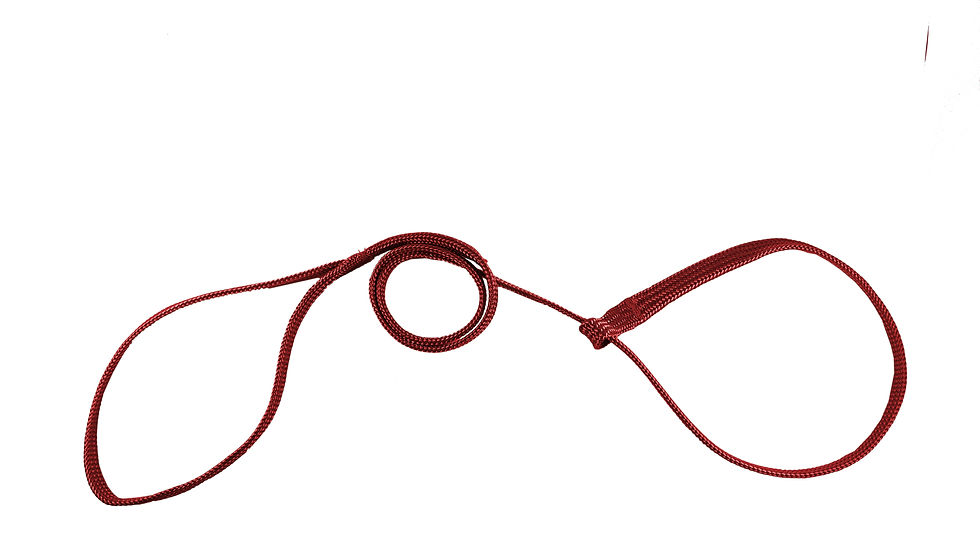 Resco Pet Products - Dog Show Leads