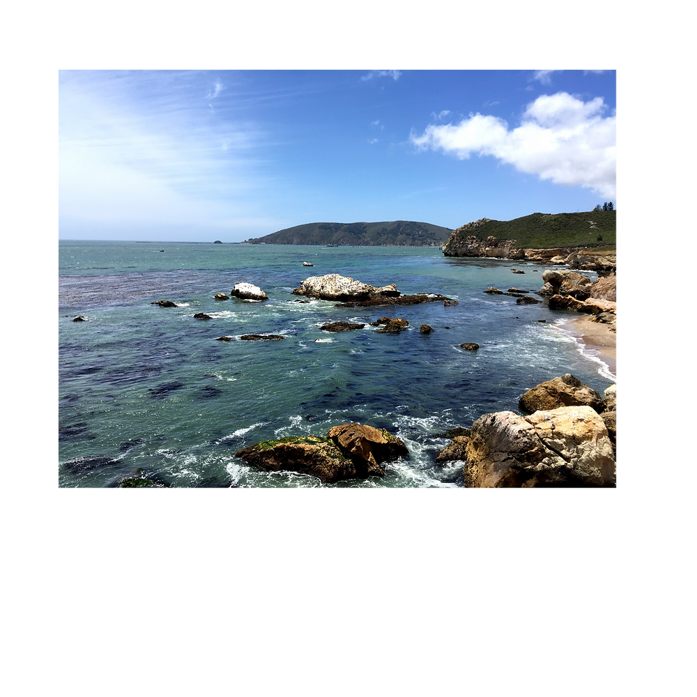 Accidental Fall Resulting In Death At Pirates Cove CaliforniaPirates ...