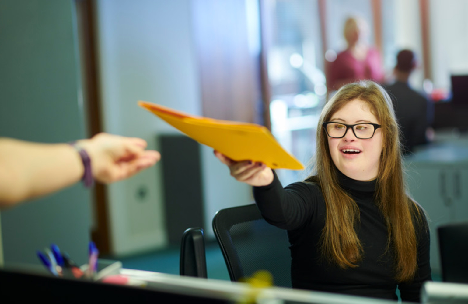 The Microenterprise project