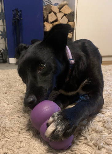 Sally, around 3 - 4 years. | bmdrnew