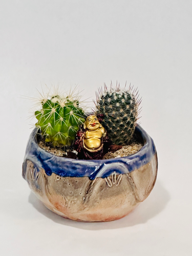 Melo Plant Arrangements | The Melo Plant Shop