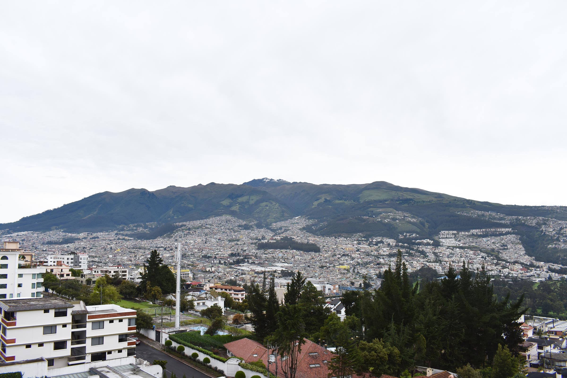 Edificio Capri II | nuevasraices