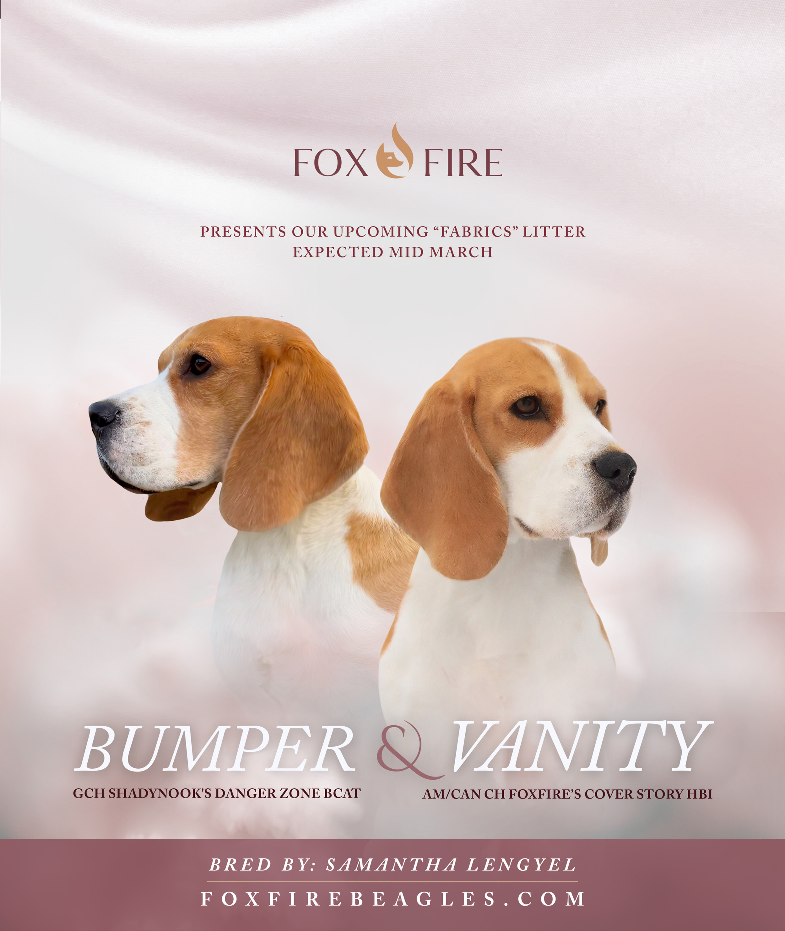 FABRIC LITTER 2025 | Foxfire Beagles