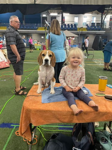 HOME | Beagle Club Canada