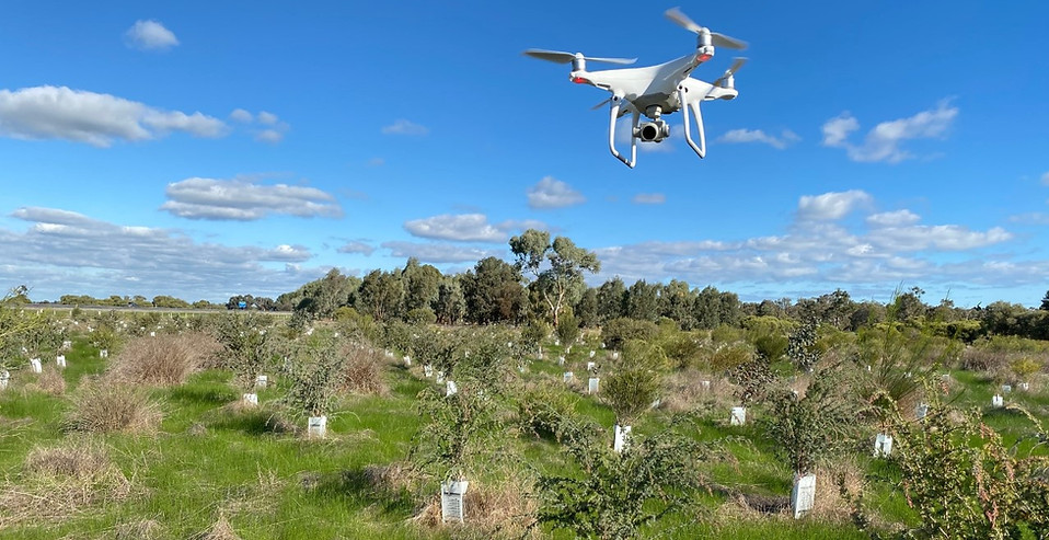 Gp Forestry Drone Services