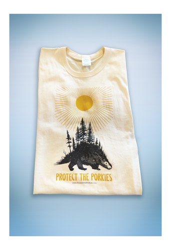 OFFICIAL Protect the Porkies Awareness TEE | LoyalTees Custom Apparel