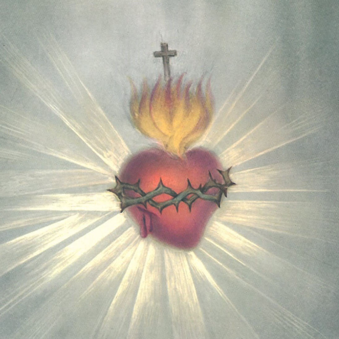 The Surrender Novena of Jesus Christ | Noahs Ark Warnings