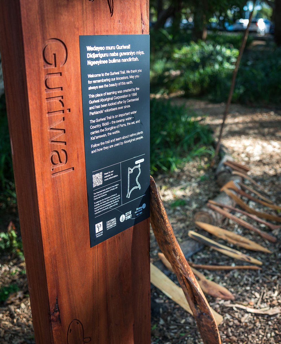 Indigenous Art Installation at Centennial Parklands - 19th May 2021