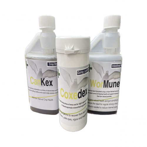 Pigeon Health – 3 in 1 Pack | The Racing Pigeon
