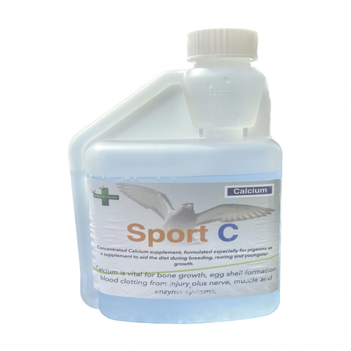 Sport C | The Racing Pigeon